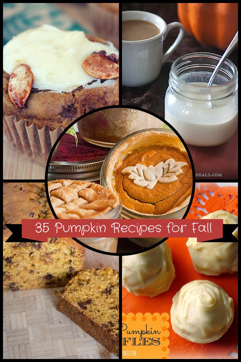 35 Pumplin Recipes for Fall You'll Love to Make | Frugal Living Mom